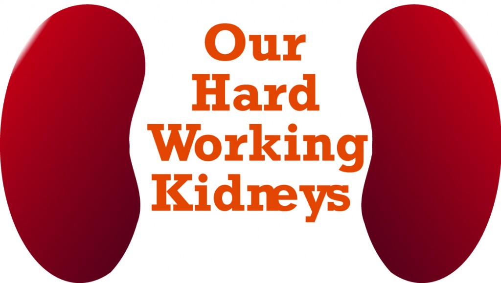 Our Hard Working Kidneys, Part II: Causes, symptoms of kidney failure ...